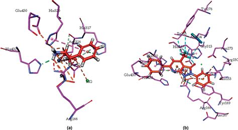 Putative Binding Interaction Of L Phenylalanine And Compound 2b Inside