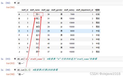pandas基本操作之数据访问 查看与检索 pandas查看前五条数据 xiejava1018的博客 csdn博客