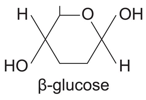Beta Glucose Structure