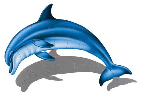 Bottlenose Dolphin B Porcelain Pool Mosaic By Custom Mosaics Inc
