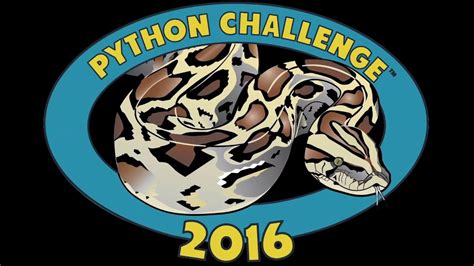 2016 python challenge™ a success youtube