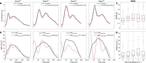 Representative Examples Of The Trunk Accelerometry Fitting And Grf