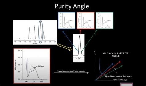 How To Calculate Peak Purity In Hplc Professional Hplc Column