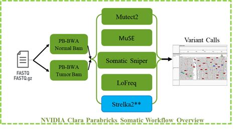 benchmarking nvidia clara parabricks somatic variant calling pipeline