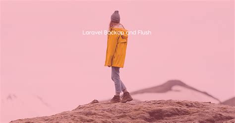 laravel backup and flush learning laravel