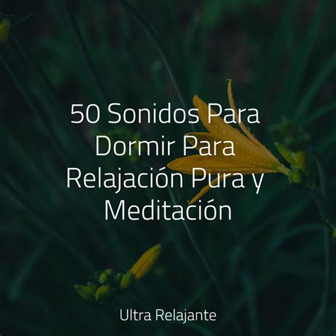 50 Sonidos Para Dormir Para Relajación Pura Y Meditación Album By