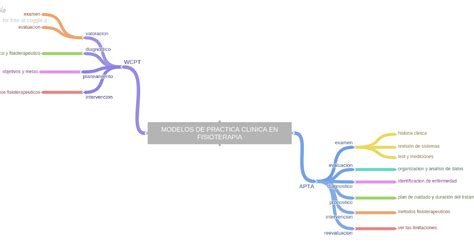 Semana 2 Modelos De PrÁctica ClÍnica En Fisioterapia Apta Wcpt