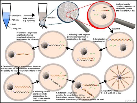 Next Generation Sequencing
