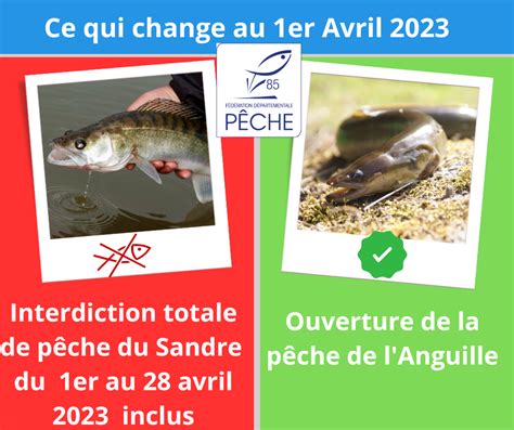 1er Avril 2023 Fermture Du Sandre Et Ouverture De Languille