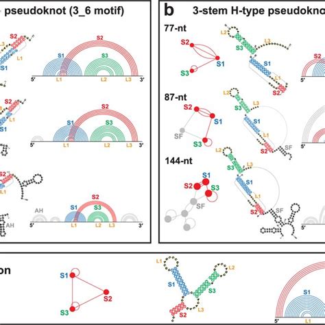 Secondary Structures Of The Three Fse Motifs A 3 6 Pseudoknot B 3 3