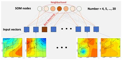 self organizing maps 数学 sanignacio gob mx