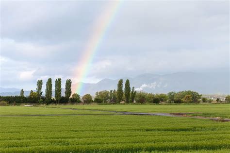 虹はなぜ七色？順番と覚え方も！虹が見える理由 楽しくしてればどんなもんだい