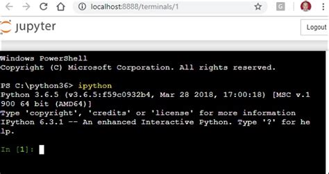 python ipython with jupyter notebook python