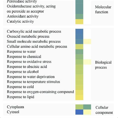 Enrichment Analysis For Go Annotation Of Differentially Abundant