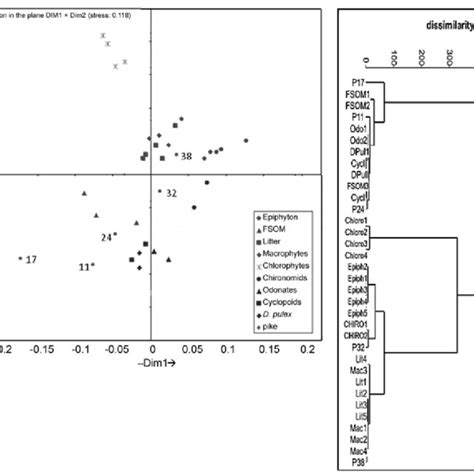 Agglomerative Hierarchical Clustering Analysis Right And