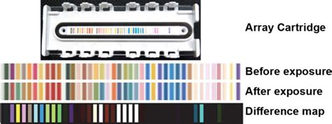 Colorimetric Sensor
