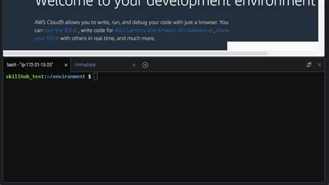 cloud9でruby on railsの開発環境を構築する【ruby on rails7開発の準備】 skillhub[スキルハブ]