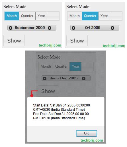 jquery date range picker to select year month or quarter only techbrij