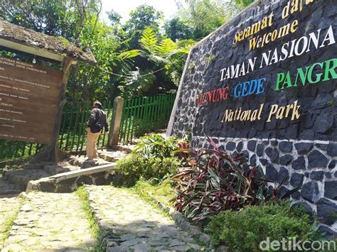 Berita Dan Informasi Pendaki Tewas Di Gunung Gede Terkini Dan Terbaru
