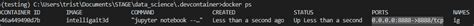 python can t access jupyter notebook inside docker
