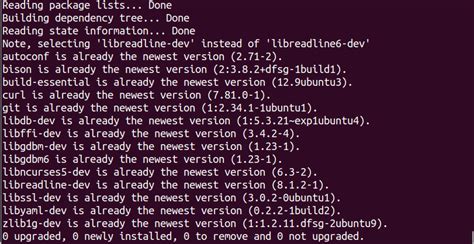 install ruby on ubuntu [using rbenv rvm repository snap]
