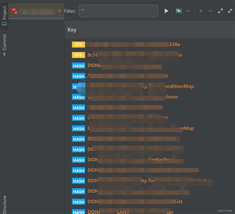 idea 使用插件远程连接redis 收费与免费插件 idea redis插件 csdn博客