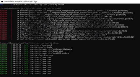 node js why pm2 is fine but pm2 logs is not stack
