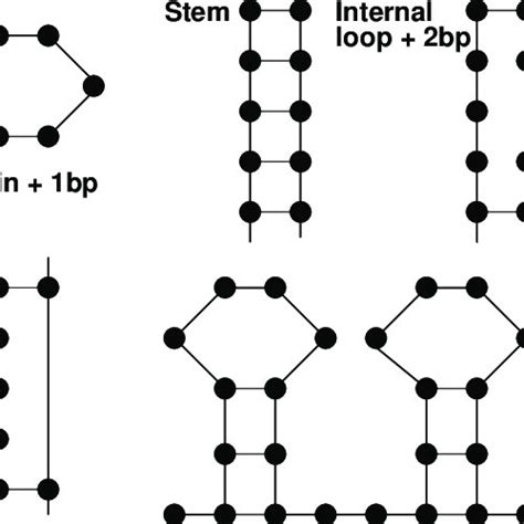 The Cost Depends On Five Structural Contexts Hairpin Loop Stem