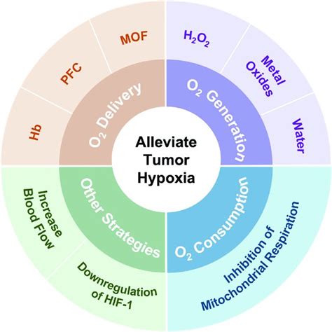 Summary Of Strategies Employed To Address Hypoxia In The Tumor