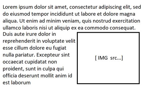 html grid or table for text and an image on the bottom