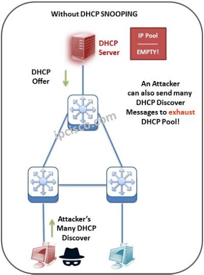 What Is Dhcp Snooping Trusted And Untrusted Ports ⋆ Ipcisco