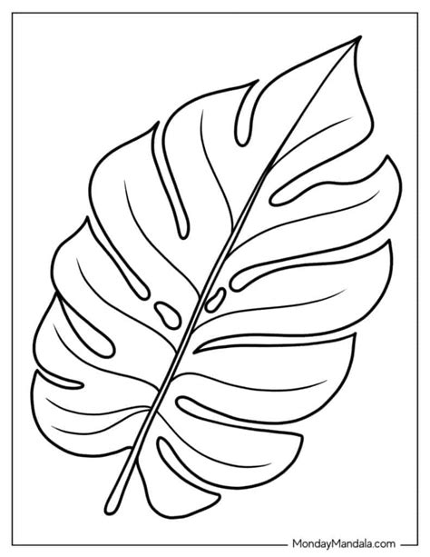 Palm Tree Leaves Coloring Page Coloring Pages