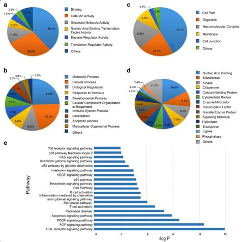 Diagram Showing The Assignment Of Gene Ontology Terms To The Identified