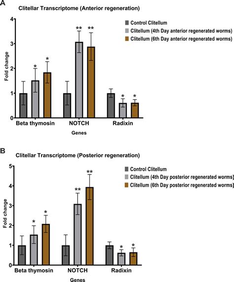 Quantitative Rt Pcr Validation Of The Transcriptome Data The Qrt Pcr