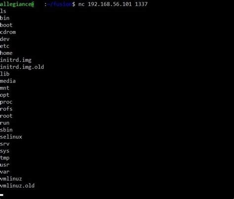 how to exploit a network service through buffer overflow