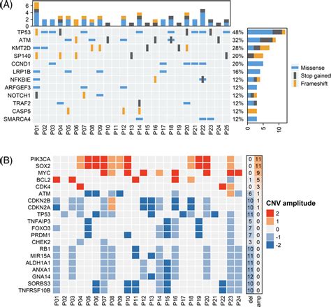 Mutational Profile And Copy Number Variation Cnv Profile Of Mantle