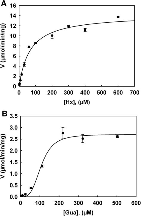 Substrate Saturation Curves Of Hypoxanthine A And Guanine B With