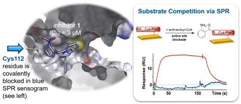 Molecules Free Full Text Concepts And Core Principles Of Fragment