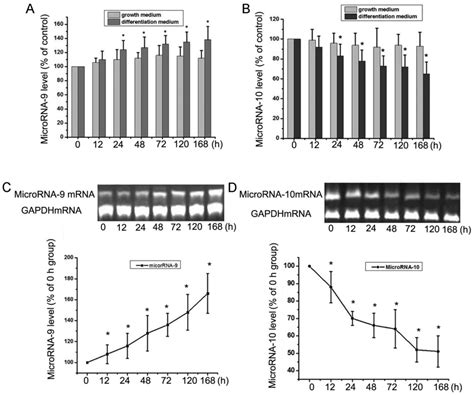 Regulation Of Runx2 By Microrna 9 And Microrna 10 Modulates The