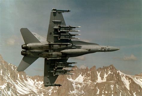 Online Crop Gray Jet Fighter Aircraft Jets Mcdonnell Douglas F A
