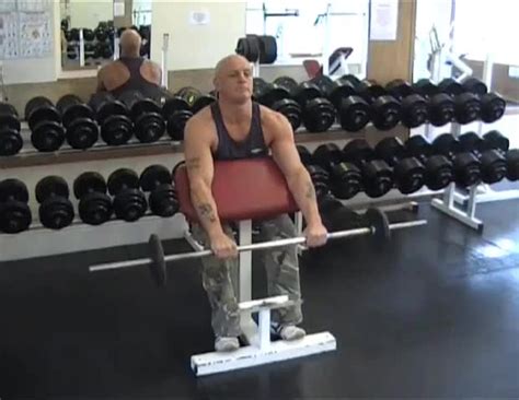 Reverse Preacher Curl