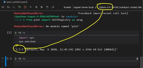 selecting python interpreter in conda environment has no effect · issue