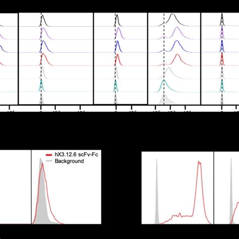 Analysis Of The Specificity Of Affinity Matured And Humanized Mab