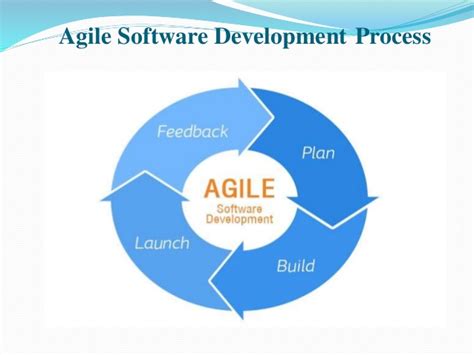 agile software development life cycle in a nutshell colin williams