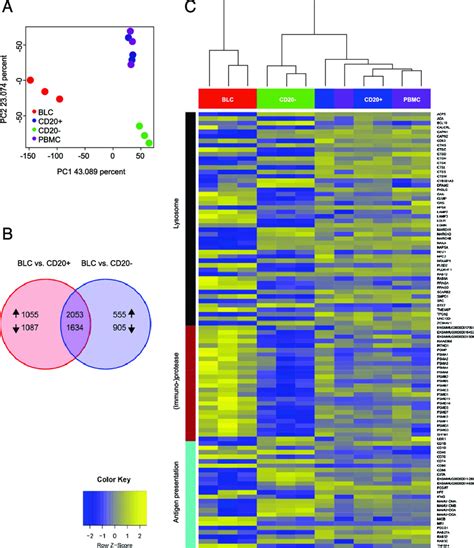 Illumina Rna Sequencing