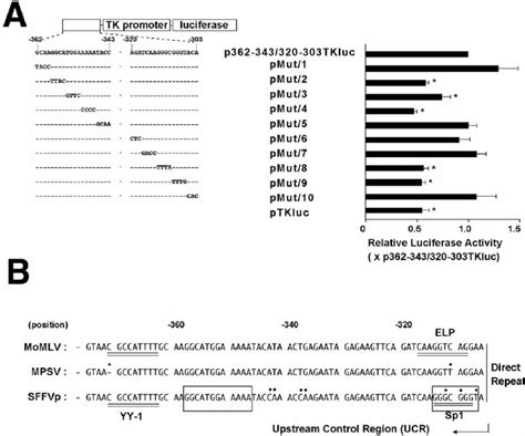 Substitution Mutation Analysis Of The Cis Regulatory Elements A