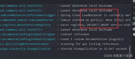nacos配置中心报错 url attribute is not specified and no embedded datasource