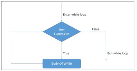 the basics of python loops
