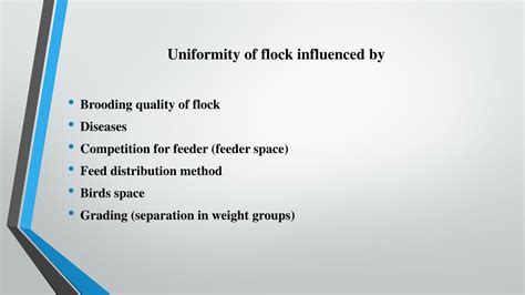 Ppt Birds Uniformity Powerpoint Presentation Free Download Id 11026029