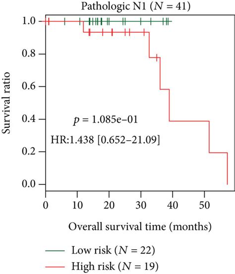 Risk Stratification Models Based On Age Pathologic M Pathologic N